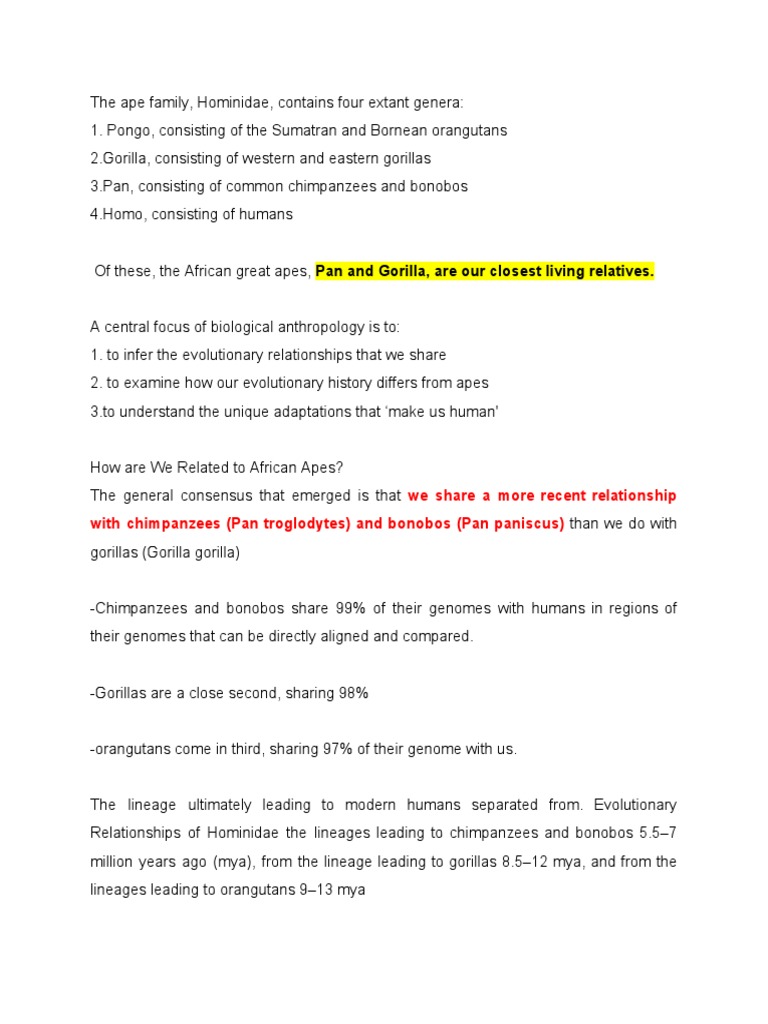 African Apes & Human Evolution Relationships | PDF | Hominidae | Ape