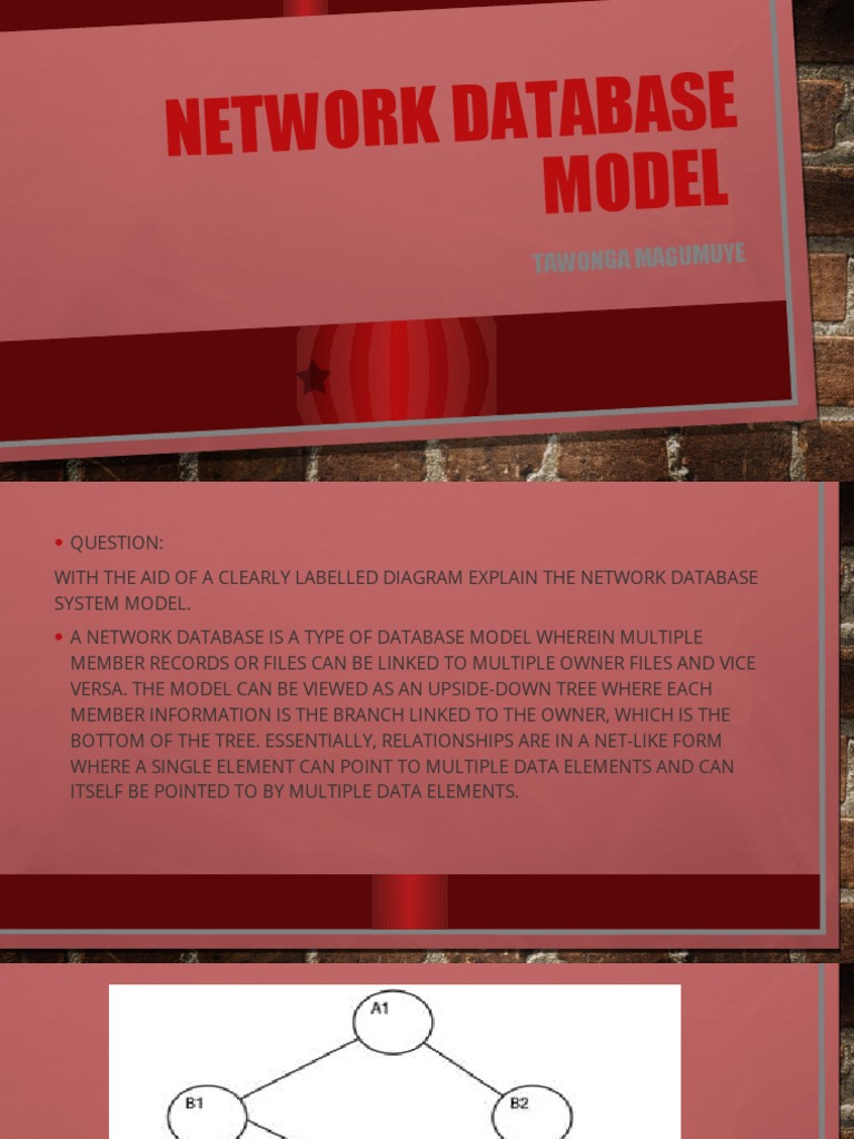 Network Database Model Presentation | PDF | Databases | Hierarchy