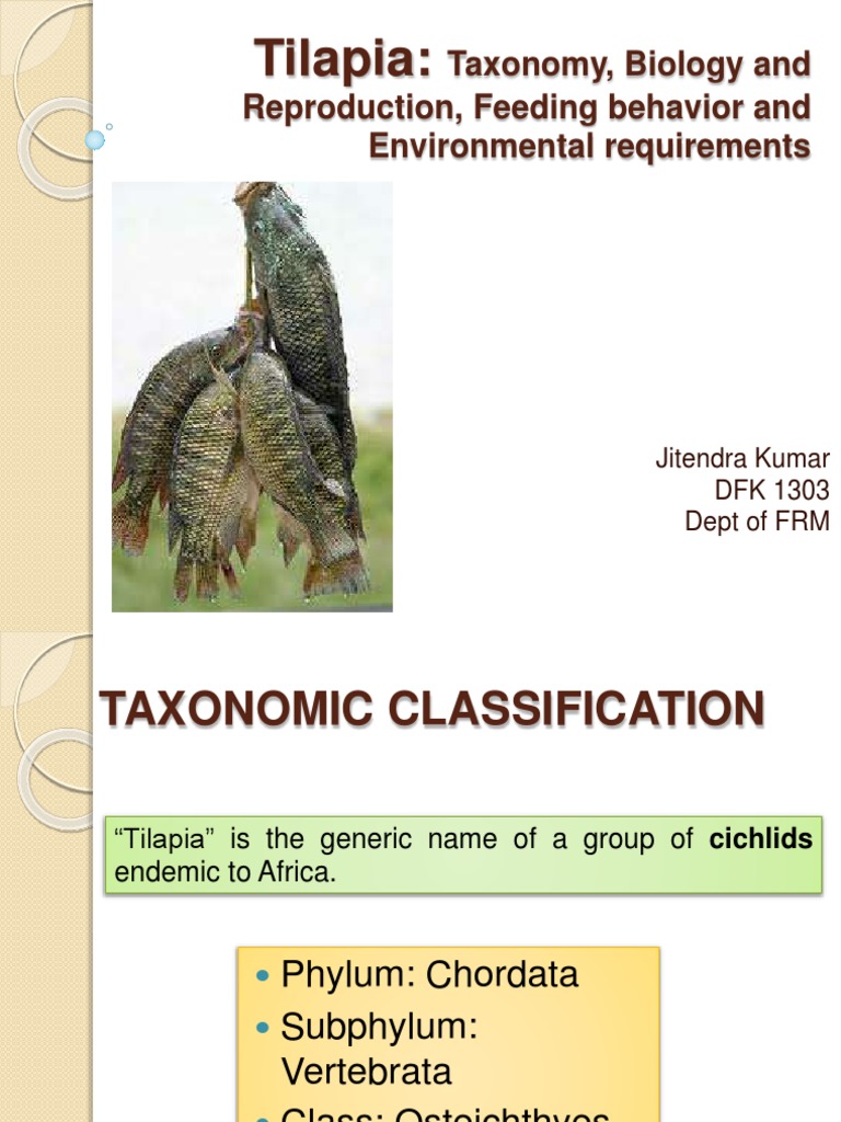 Tilapia:: Taxonomy, Biology and Reproduction, Feeding Behavior and ...