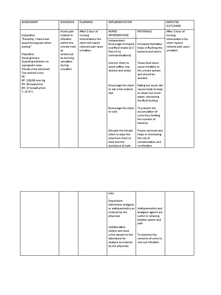 Uti NCP | Download Free PDF | Urine | Urination