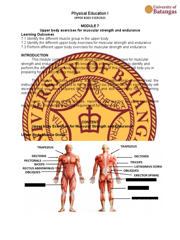 Physical Education I: Upper Body Exercises For Muscular Strength and ...