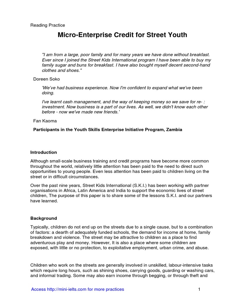 Micro-Enterprise Support for Street Youth | PDF | Entrepreneurship | Loans