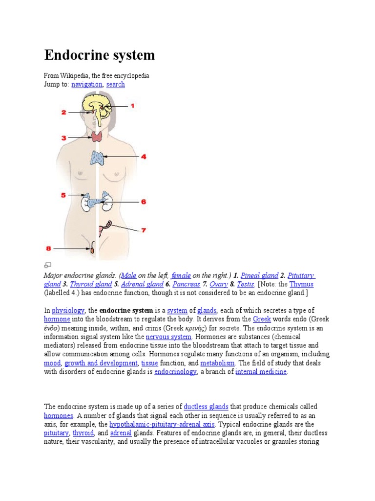 Endocrine System: Navigation Search | Download Free PDF | Endocrine ...