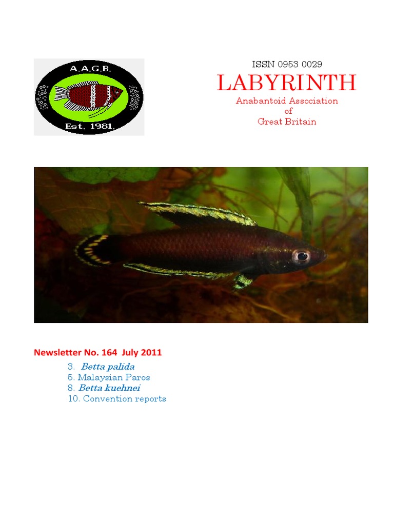 Labyrinth: Anabantoid Association of Great Britain | Download Free PDF ...