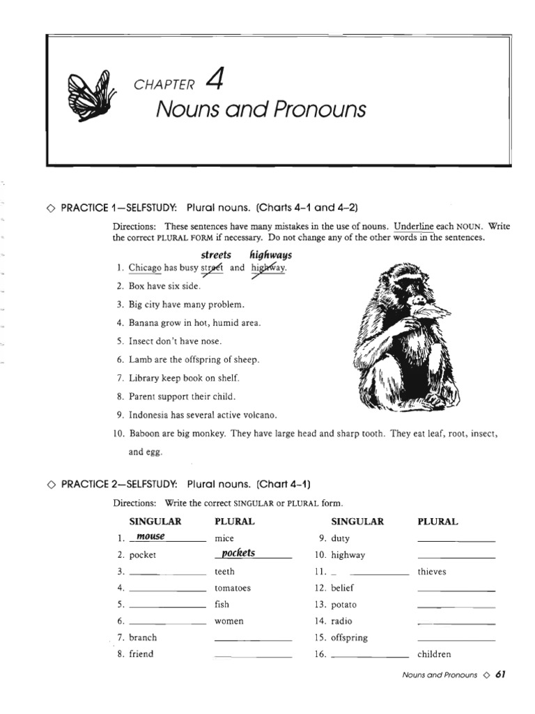 Exercises On Noun and Pronouns - Basic English Grammar 1 | PDF | Verb ...