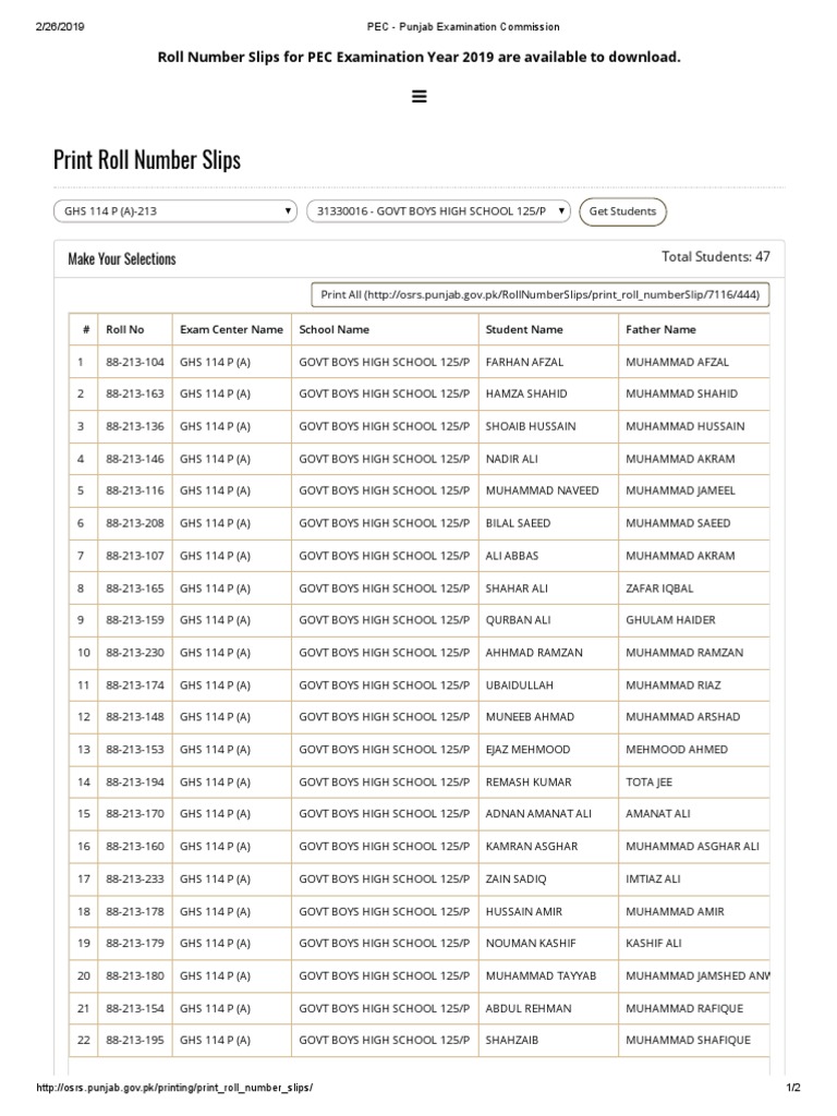 2019 PEC 8th Class Roll Number Slips | PDF | Pakistan | Ramadan