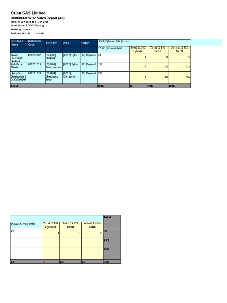 Orion GAS Distributor Sales Report 2020 | PDF | Leisure