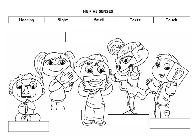 He Five Senses: Hearing Sight Smell Taste Touch | PDF