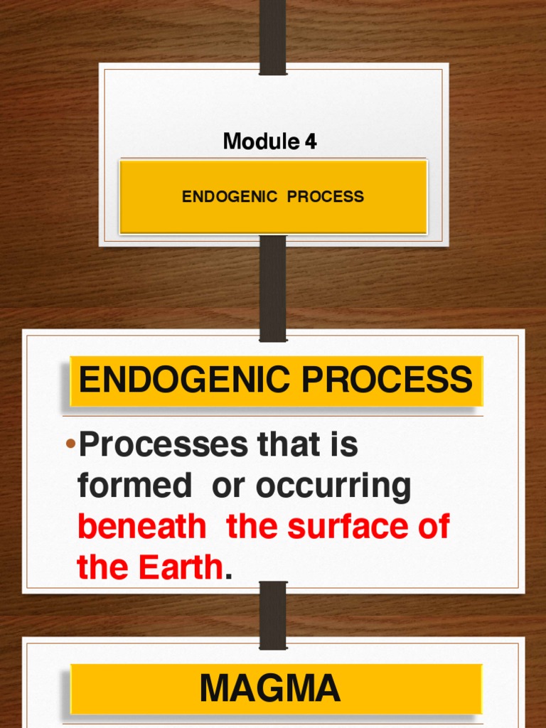 Module 4 Endogenic Processes PDF | PDF | Magma | Fault (Geology)