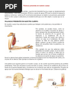 Palancas en la Biomecánica Humana | PDF | Palanca | Articulación