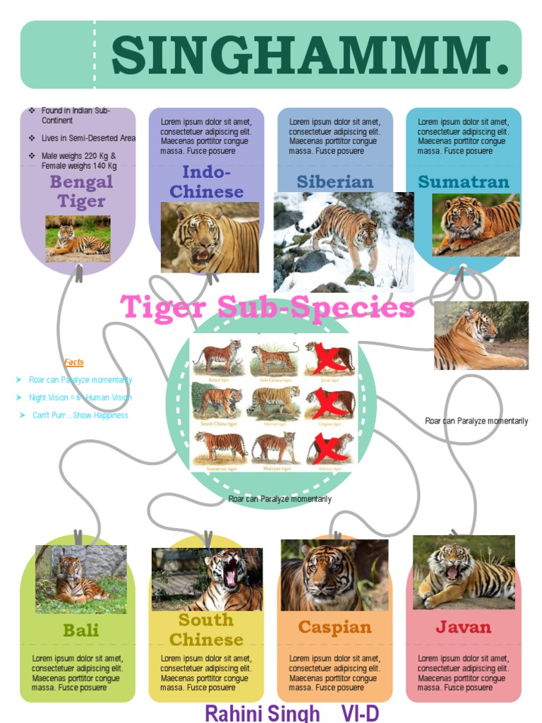 Singhammm.: Tiger Sub-Species | PDF