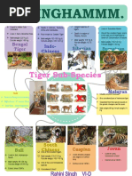 Grade 8 Lesson Plan (BIODIVERSITY) | PDF | Biodiversity | Species