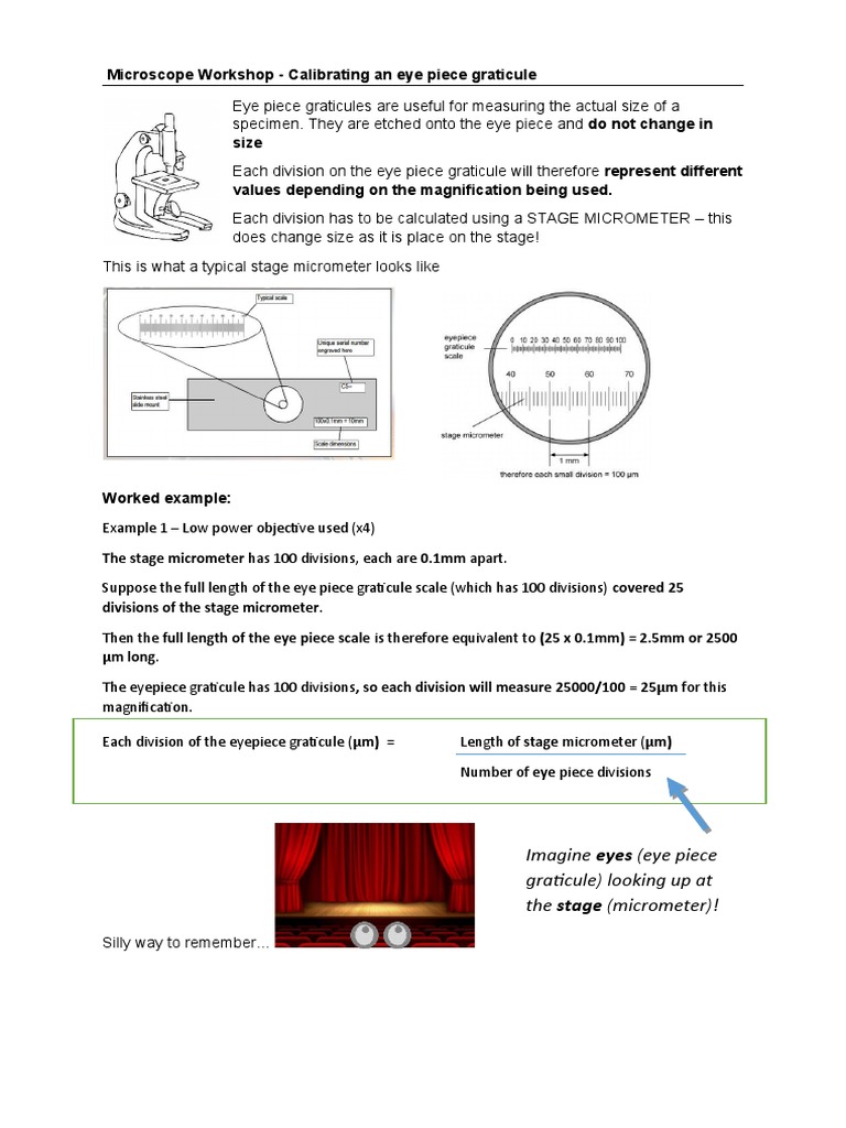 Calibrating Eyepiece Graticules in Microscopy | PDF | Scientific ...
