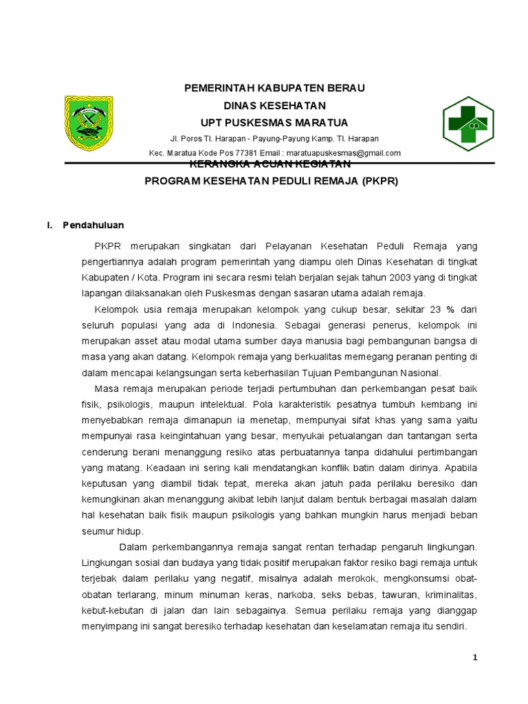 Kerangka Acuan Kerja PKPR | PDF