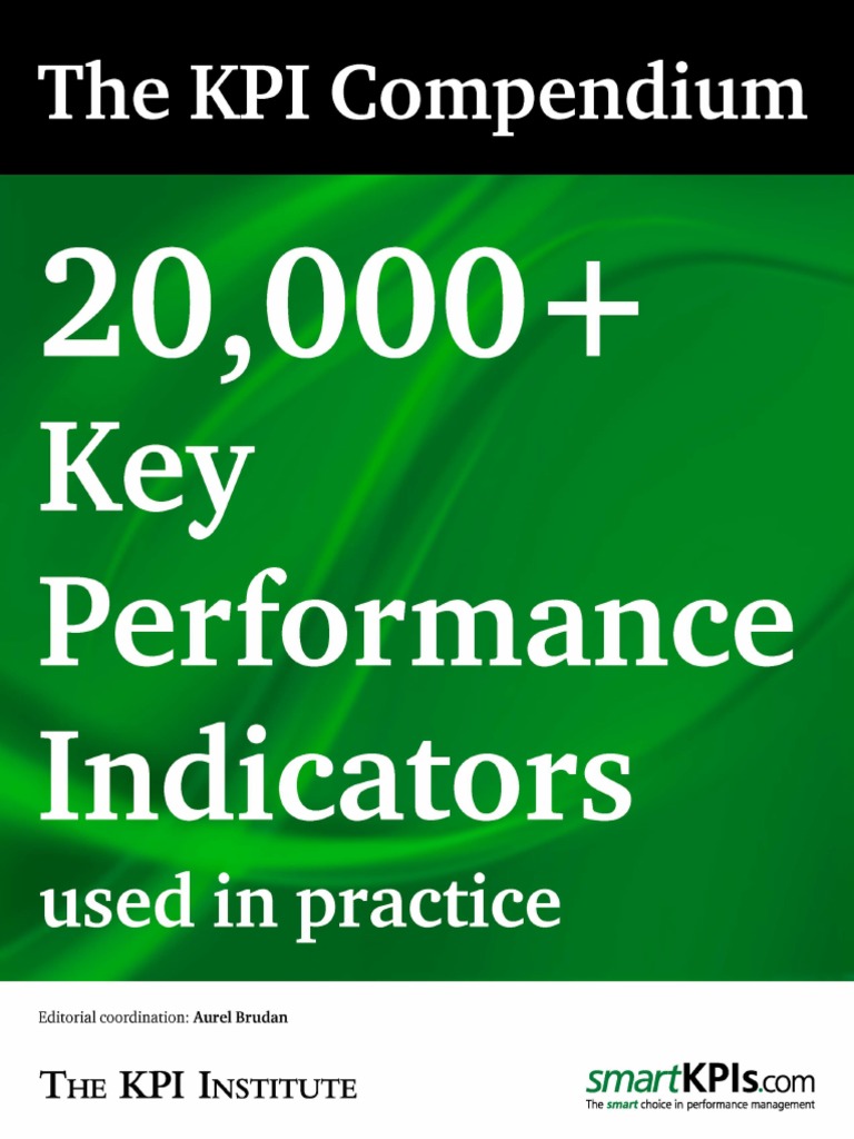 20000-Kpi-Used in Practice PDF | PDF | Performance Indicator | Revenue