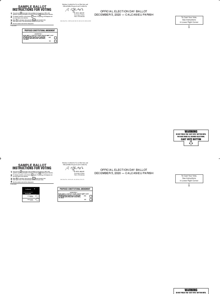 Sample Ballot: Instructions For Voting | Download Free PDF | Democratic ...