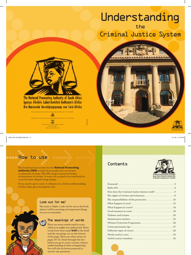 Understanding: Criminal Justice System | PDF | Prosecutor | Witness