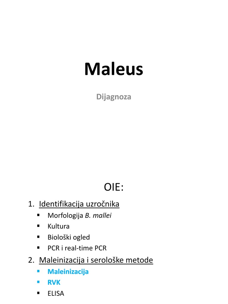 Maleus | PDF