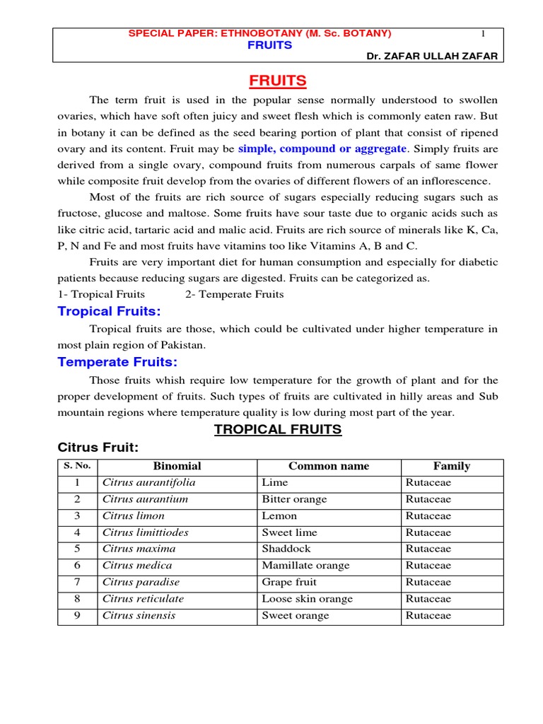 An In-Depth Exploration of Tropical and Temperate Fruits: A Focus on ...