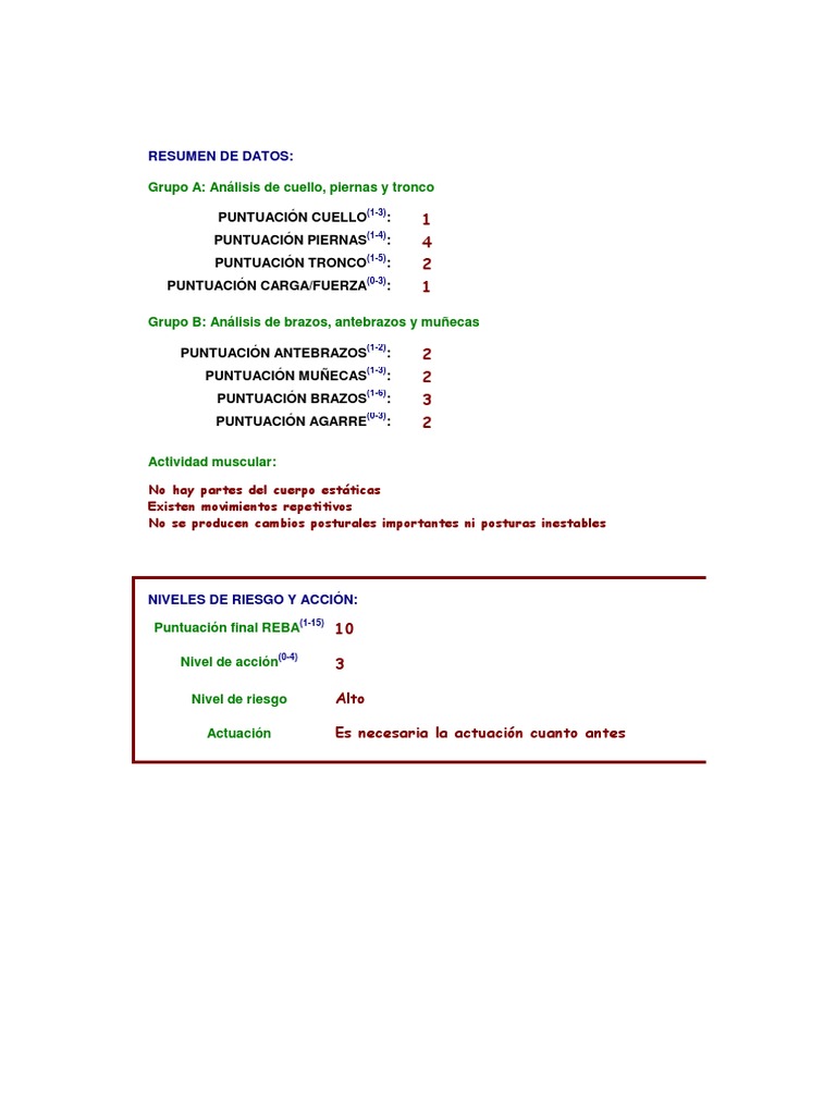 67107-Excel MÉTODO REBA Punto 1 PDF | PDF