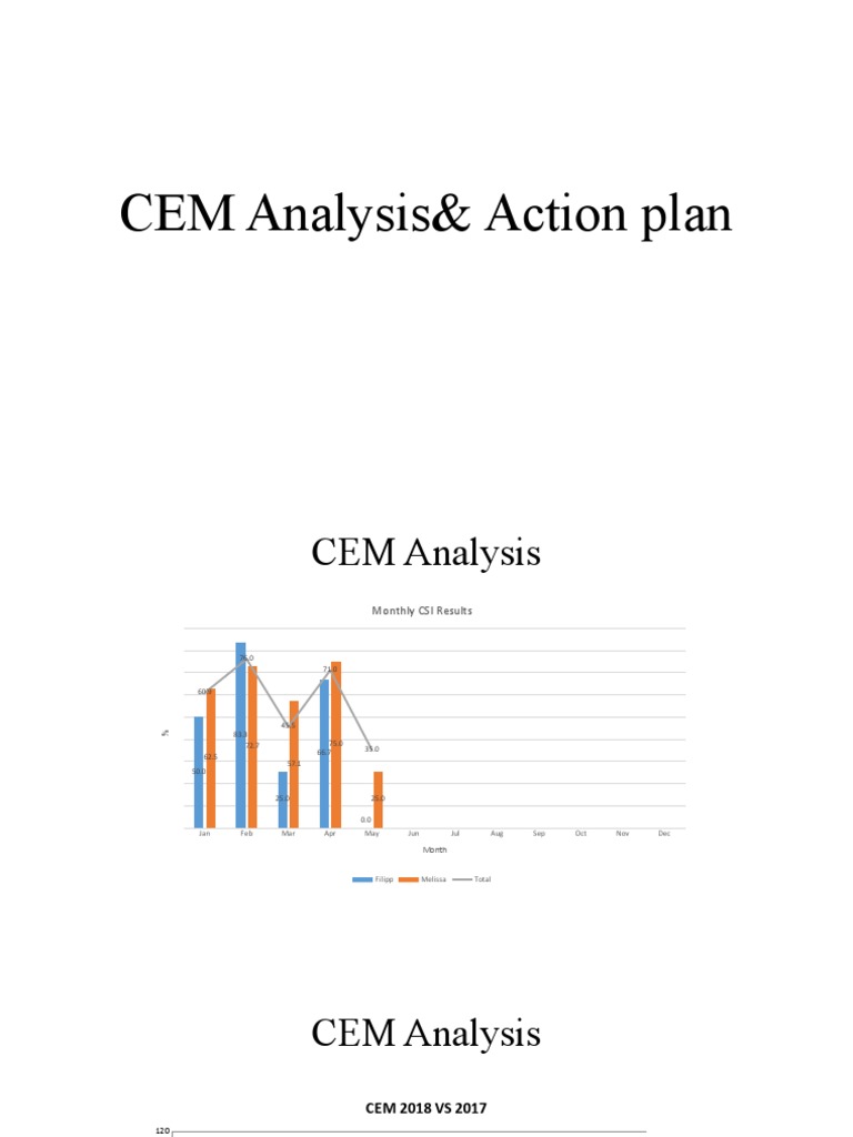 CEM Analysis and Action Plan Summary | PDF | Business