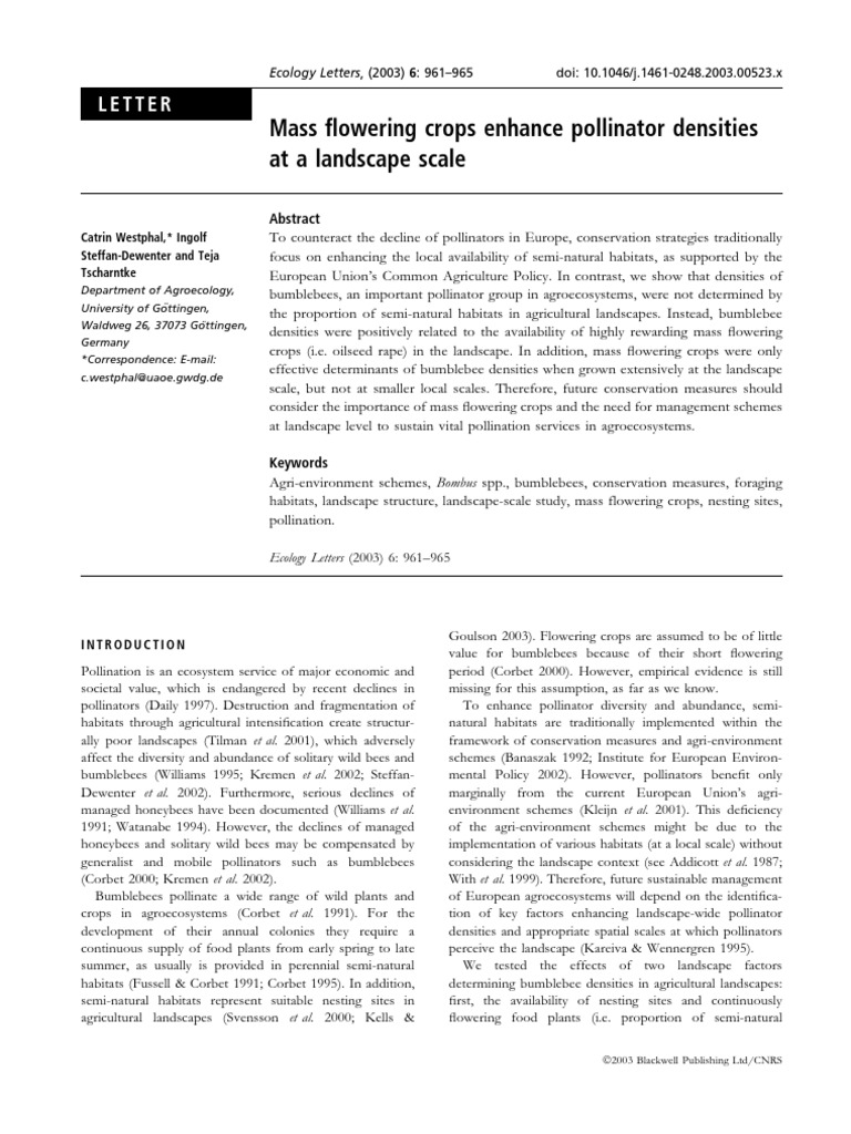 Impact of Mass Flowering Crops on Bumblebees | PDF | Bumblebee | Bees