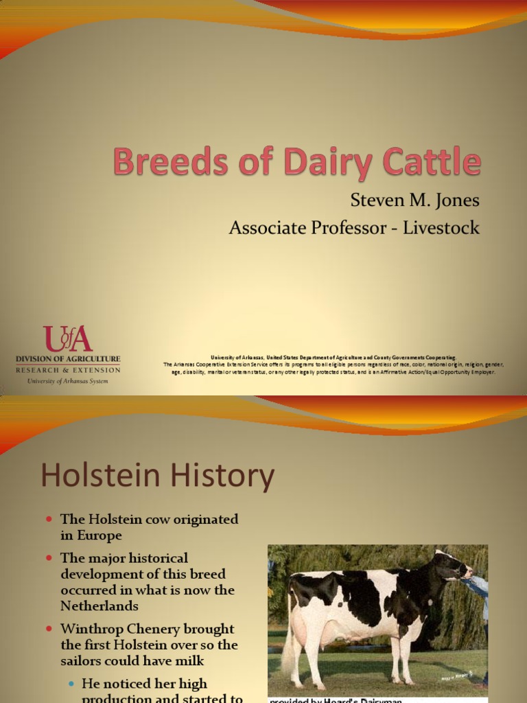 Breeds of Dairy Cattle | PDF | Breeds | Food Industry