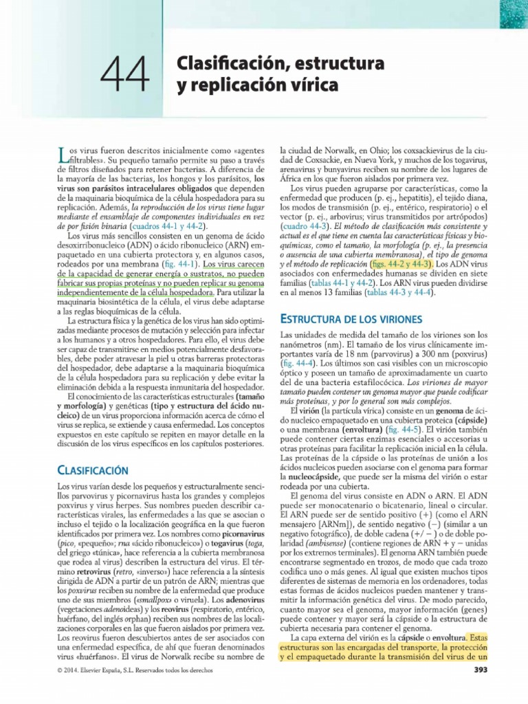 Microbiologia Medica Murray 7 Edicion | PDF | Virus | Rna