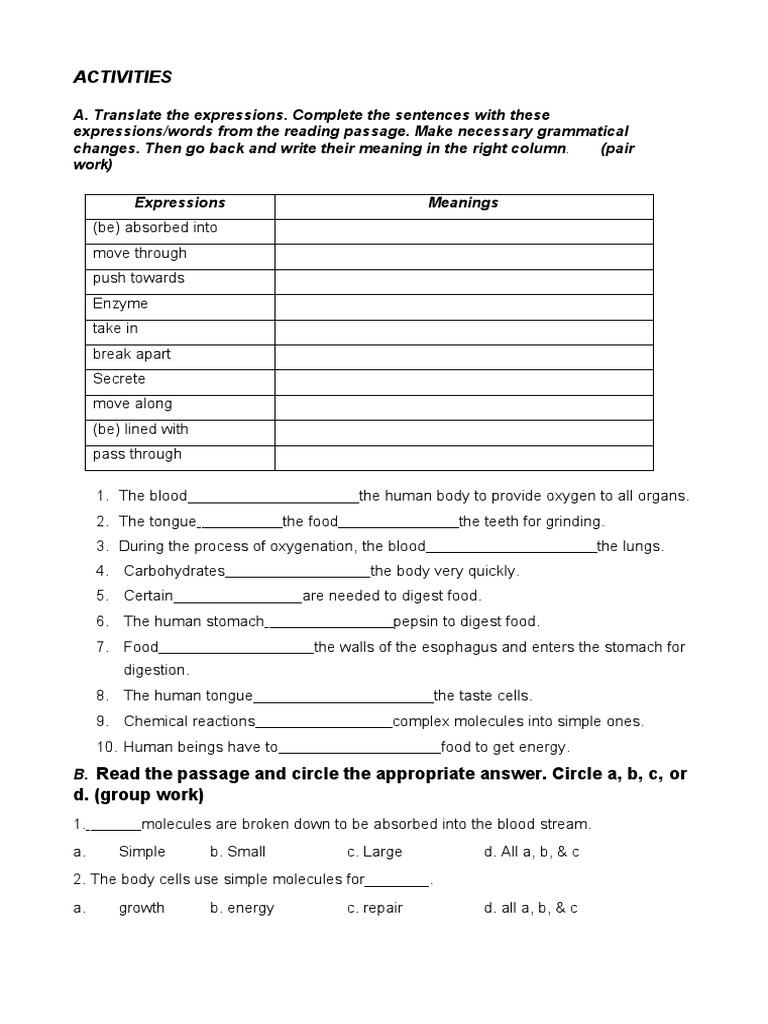 Exercise Digestive System | PDF | Digestion | Human Digestive System