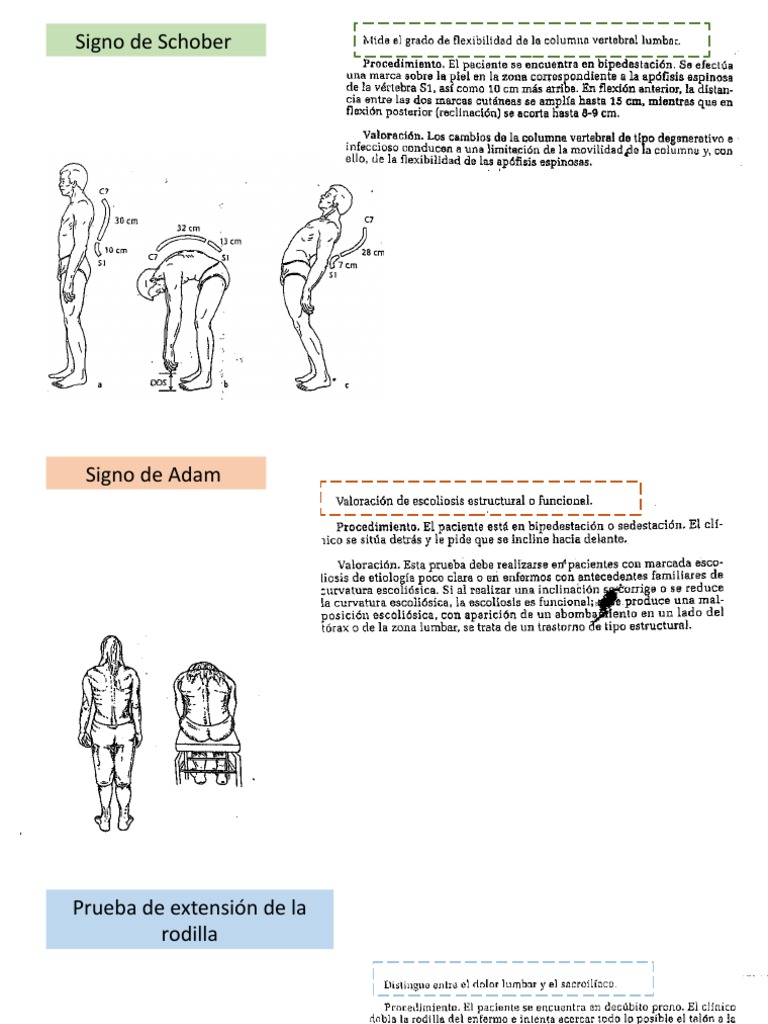 Evaluación del Signo de Schober en Lumbalgia | PDF