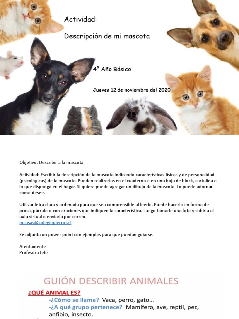 Descripción de La Mascota | PDF