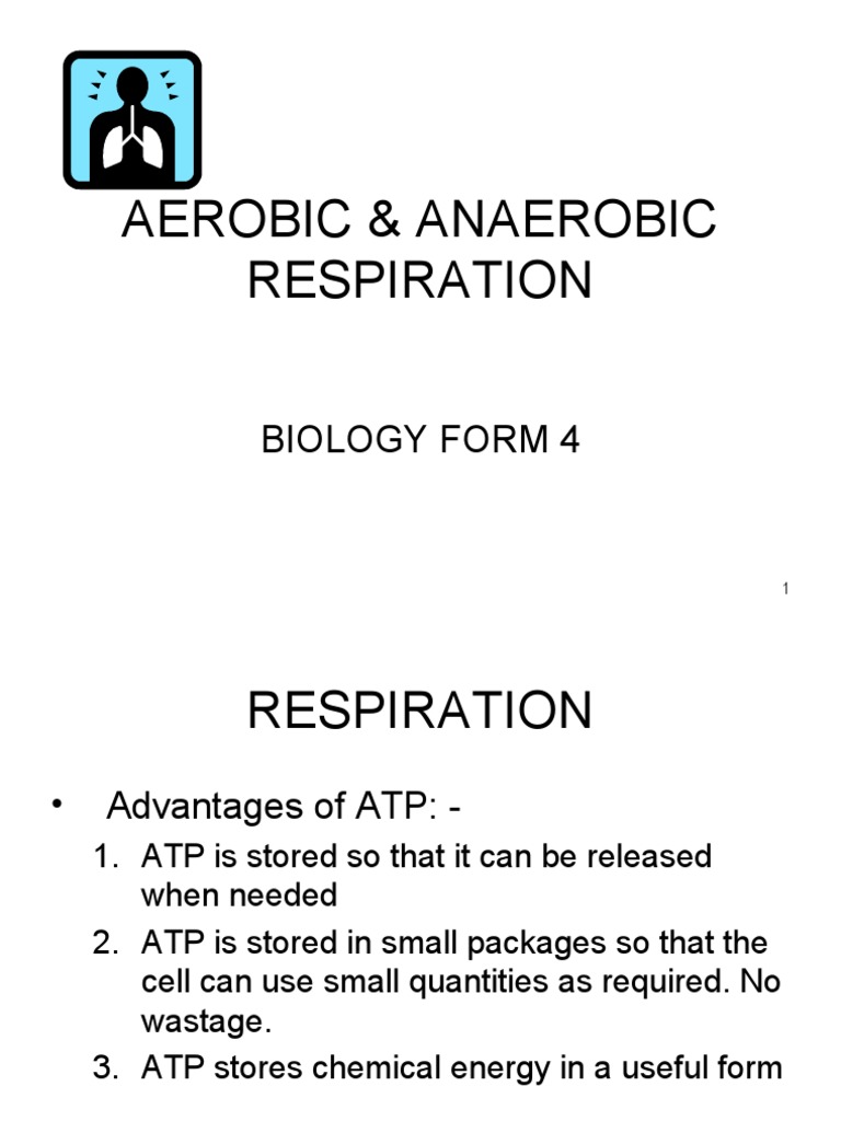 Aerobic and Anaerobic Respiration Guide | PDF | Lung | Chemistry