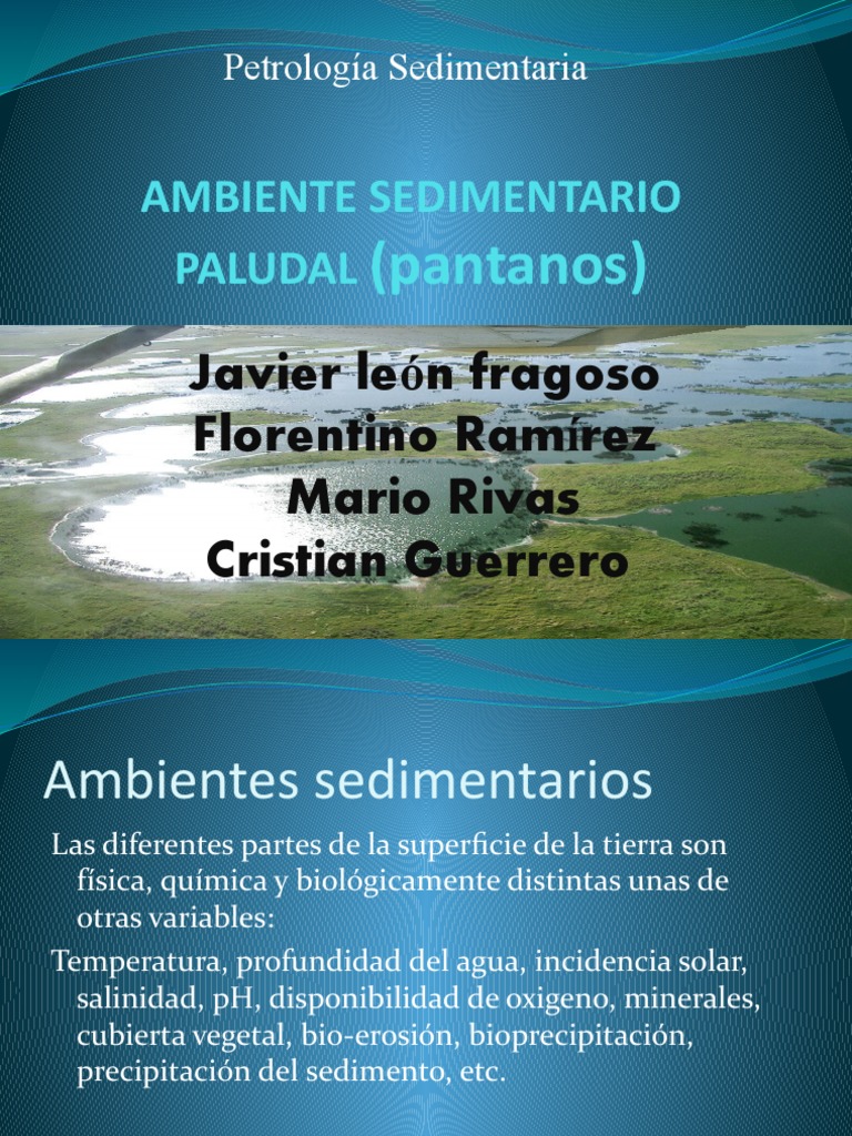 Ambiente Paludal Pantanos | PDF | Pantano | Clima