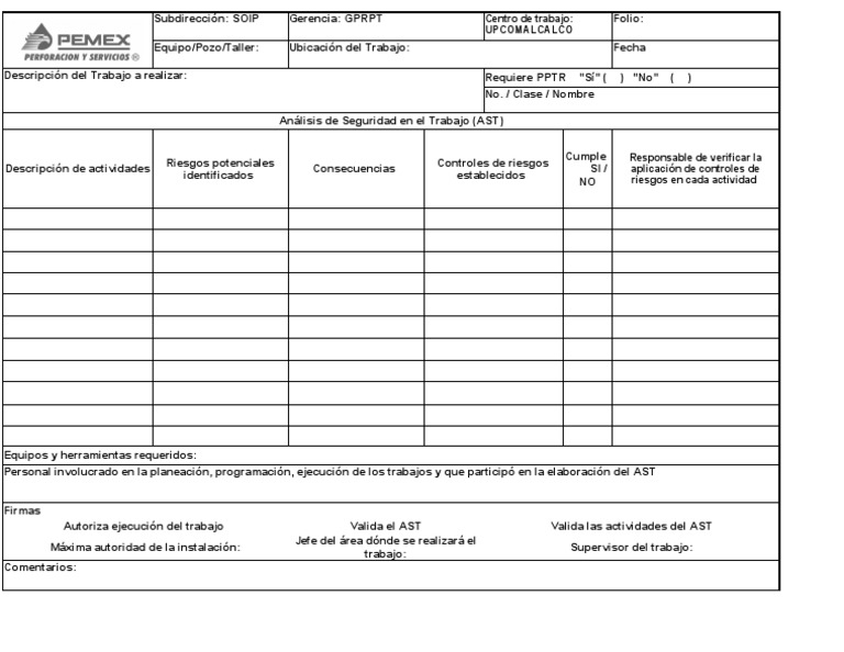 Formato AST PPS | PDF
