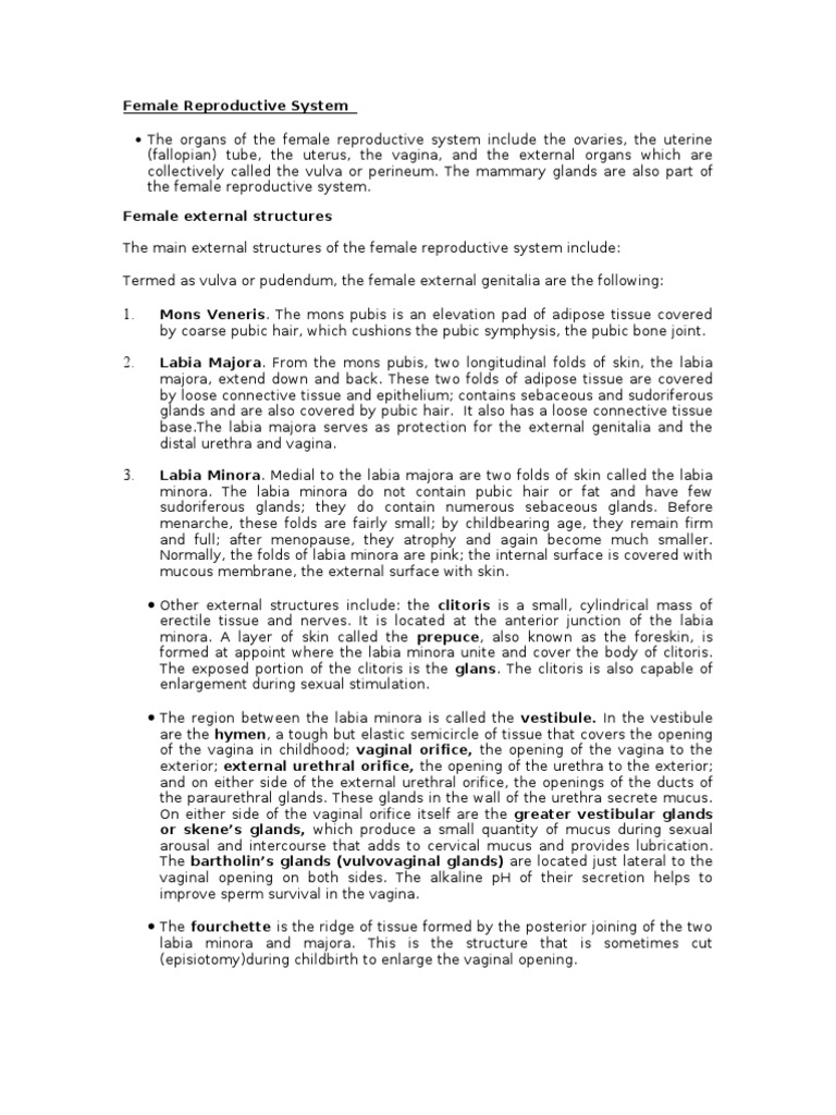 Overview of the Female Reproductive System | PDF | Menstrual Cycle | Ovary
