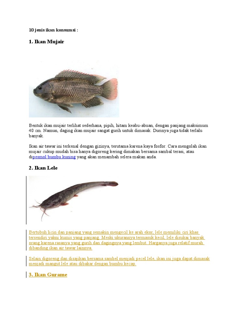 10 Jenis Ikan Konsumsi | PDF