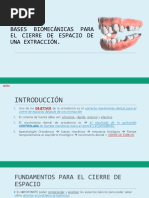 Relación Dental: Clases de Angle y Andrews | PDF | Anatomia dental | Diente