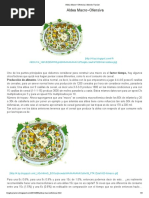 Guia Rapida Travian Kingdoms | PDF | Infantería