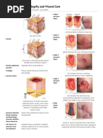 Braden Scale Interventions Algorithm | PDF | Physical Therapy ...