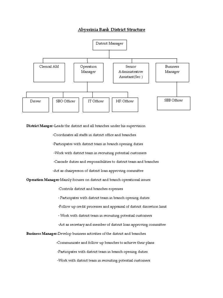Abyssinia Bank District Structure | PDF | Economies | Business