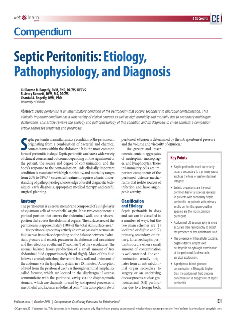 Septic Peritonitis in Dogs | PDF | Peritoneum | Sepsis