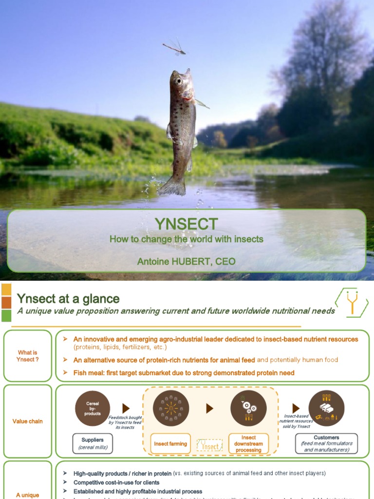 Ynsect: How To Change The World With Insects Antoine HUBERT, CEO | PDF ...