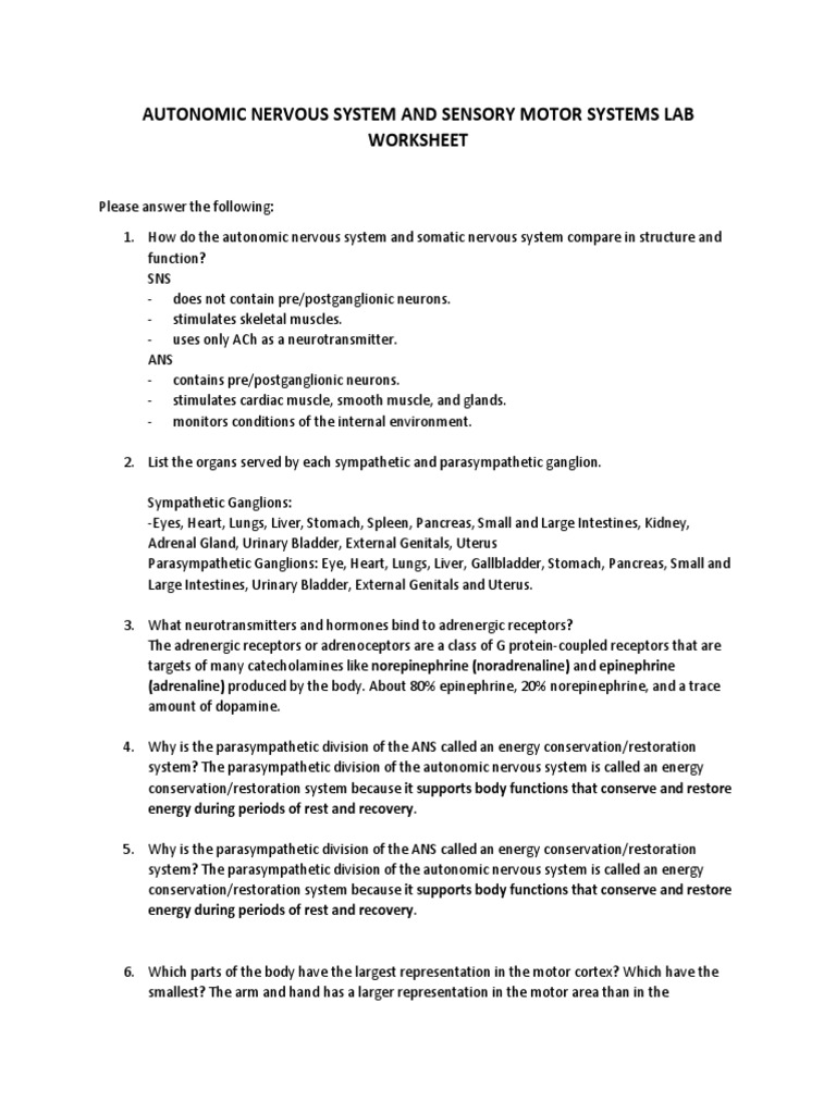 Autonomic vs Somatic Nervous System Lab | PDF | Wellness