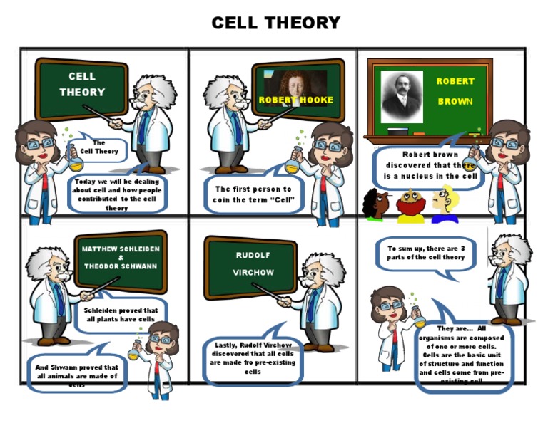 Contributions to Cell Theory | PDF