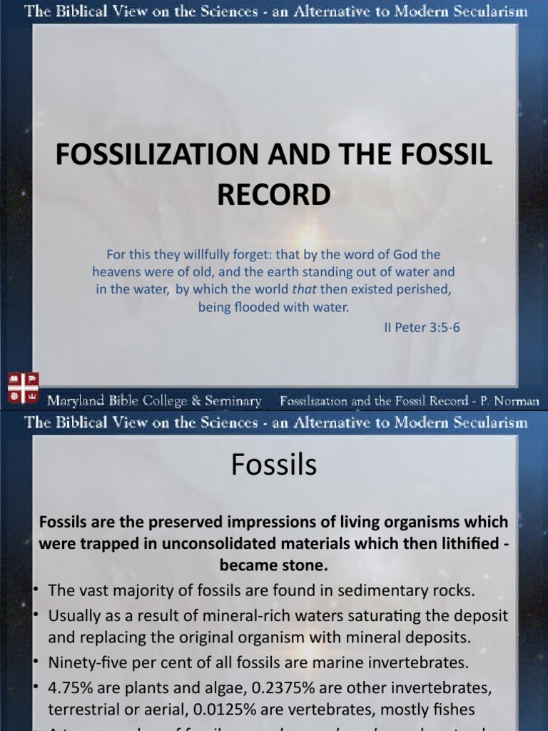 Fossilization and The Fossil Record | PDF | Fossil | Rock (Geology)