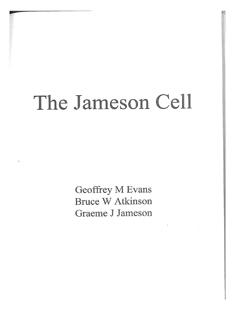 The Jameson Cell PDF | PDF