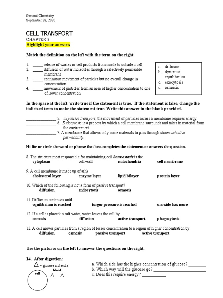 Cell - Transport Chapter Summary | PDF | Cell Membrane | Osmosis