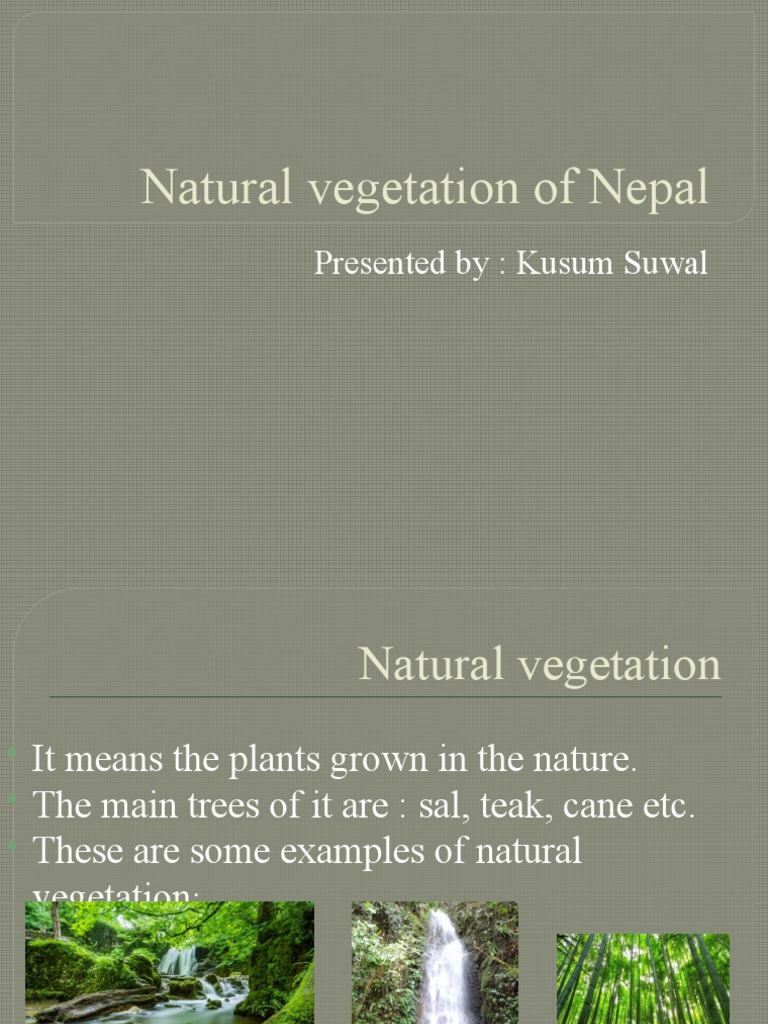 Natural Vegetation of Nepal | PDF