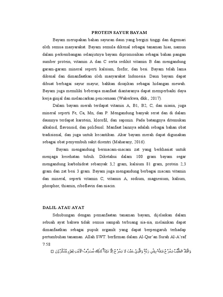 Protein Sayur Bayam | PDF