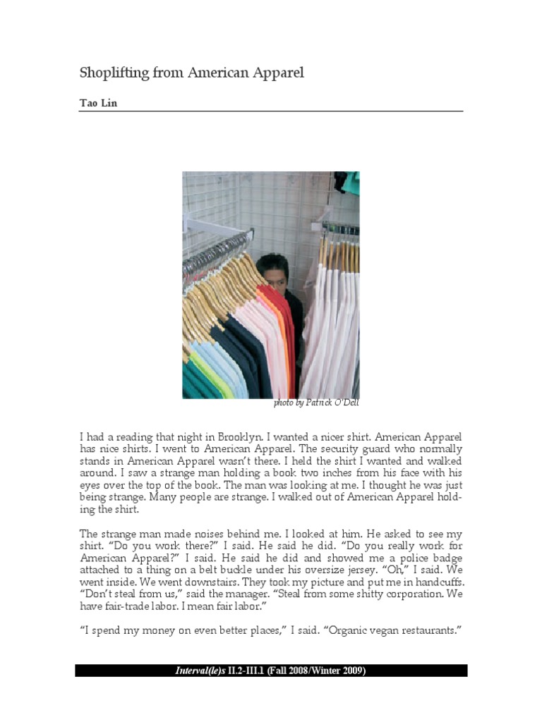 Shoplifting From American Apparel: Tao Lin | PDF